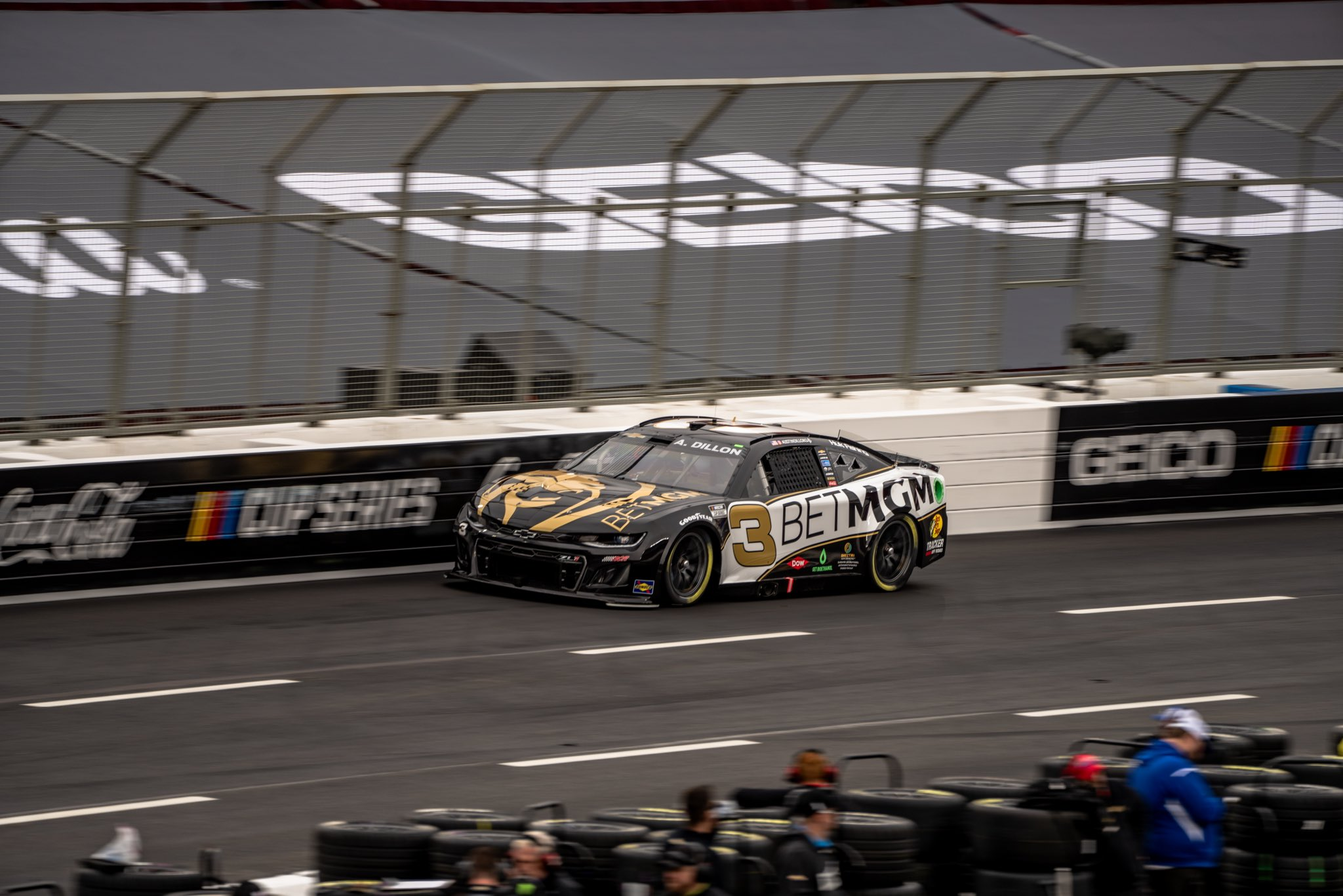 2024 - #3 Richard Childress Racing - Scheme Haven